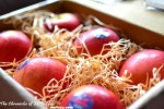 Playground Series: Apple Verrine – Layers & Layers of Apple-Fun | Ms I ...